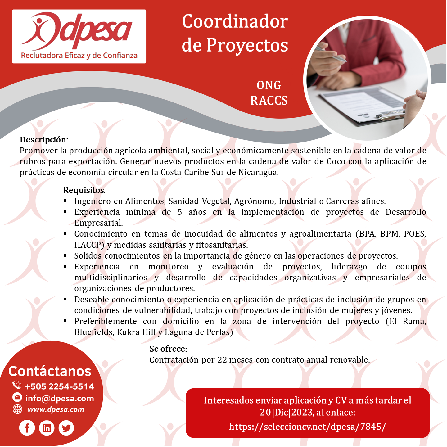 Coordinador de Proyectos - DPESA
